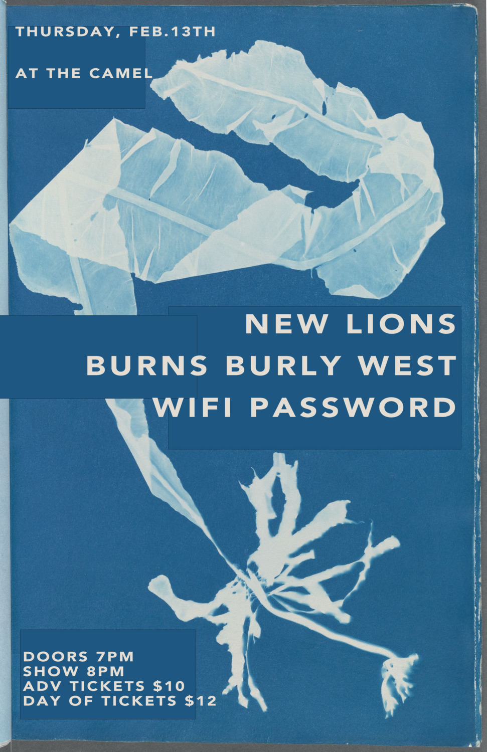 New Lions, Burns Burly West, Wifi Password, Thursday, February 13, 2025 ...